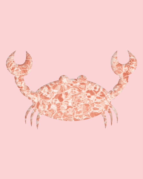 Levels | Swim Evolution