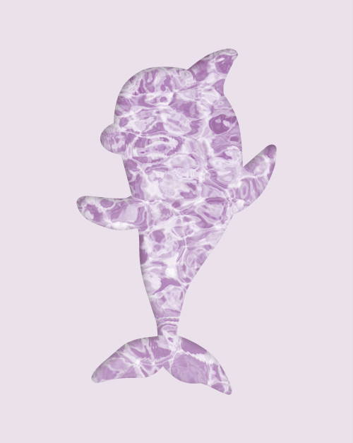 Levels | Swim Evolution