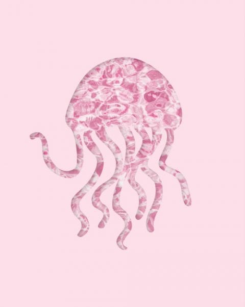 Levels | Swim Evolution