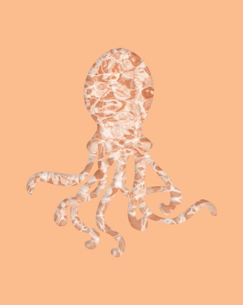 Levels | Swim Evolution