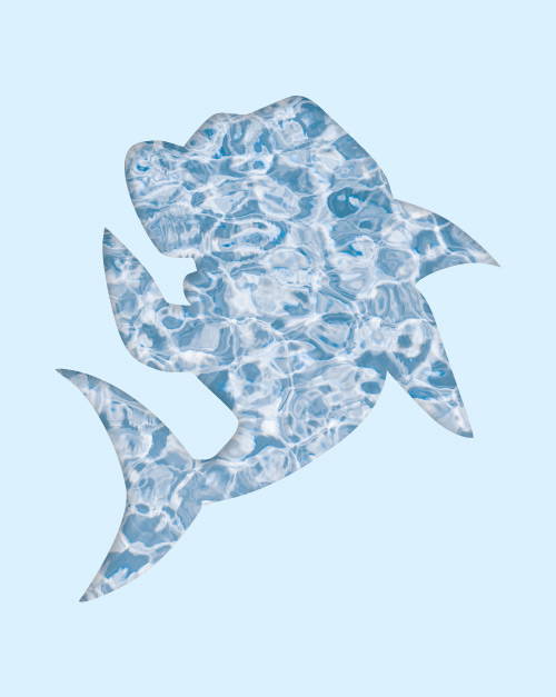 Levels | Swim Evolution